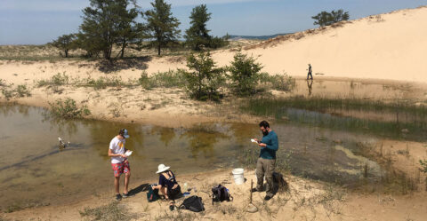 Snakes and frogs and bugs, oh my! Understanding Michigan’s vulnerable ...