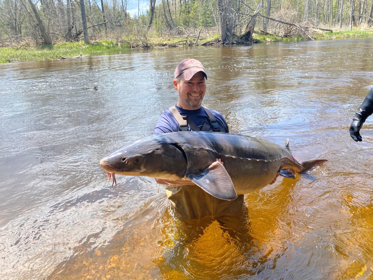 Extension educators meet a river denizen | Michigan Sea Grant