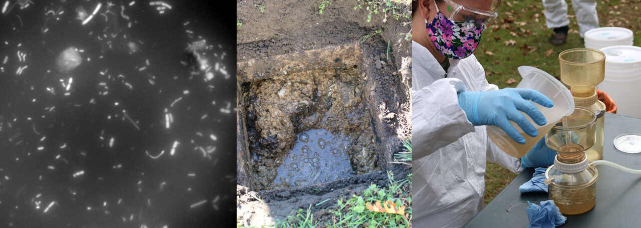 Sampling microbes in an unappealing cocktail | Michigan Sea Grant