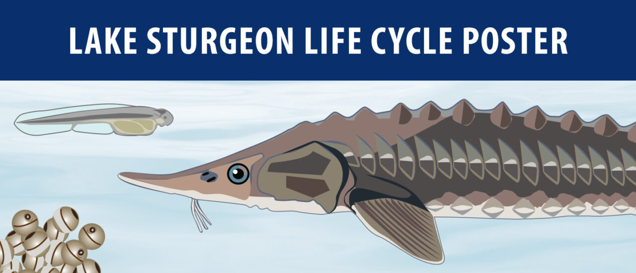 Michigan Sea Grant | Helping to foster economic growth and protect ...