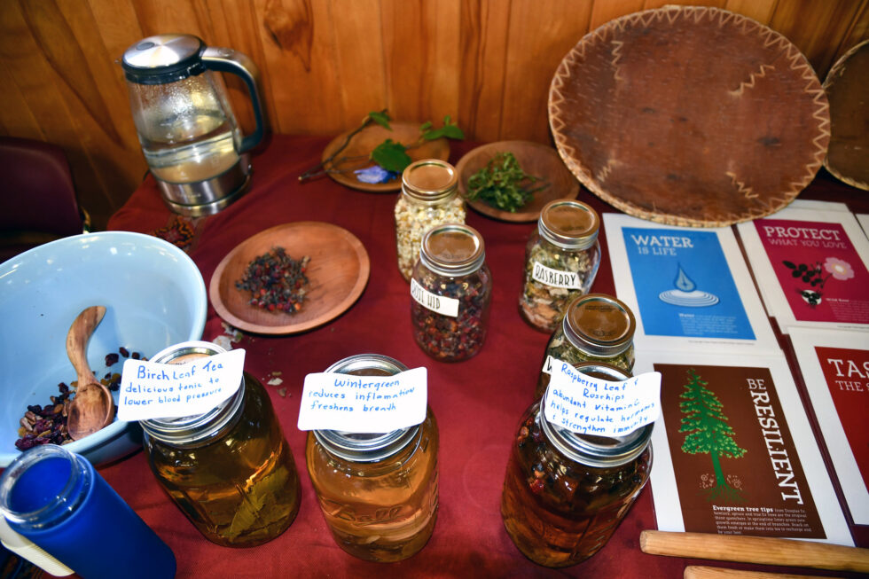 2026 Indigenous Food Sovereignty Summit | Michigan Sea Grant