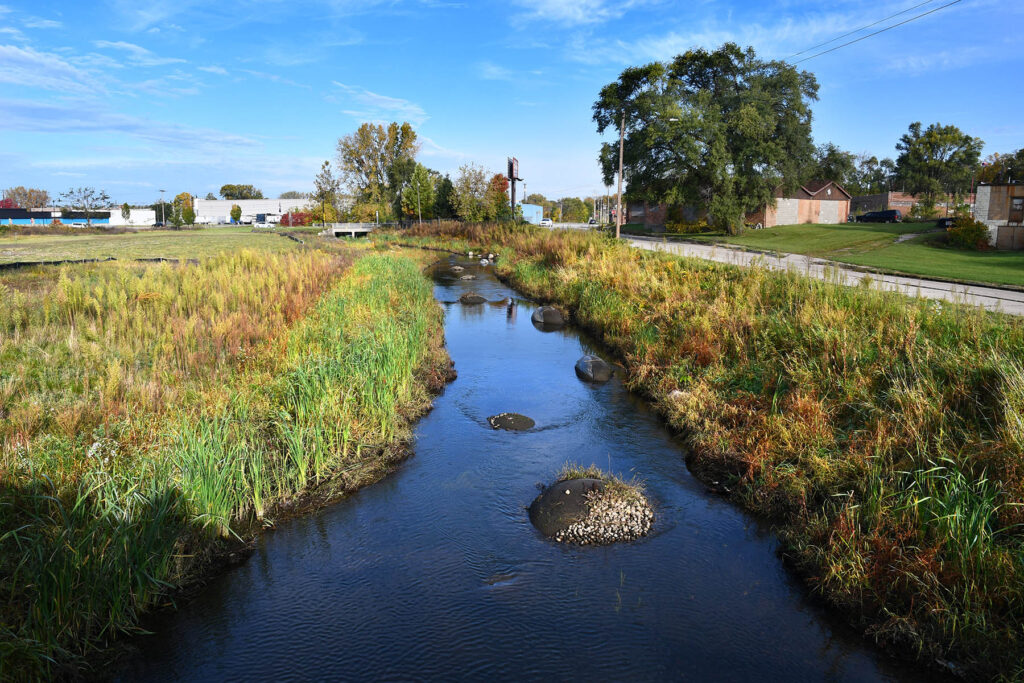 Supporting Restoration Efforts in Ox Creek | Michigan Sea Grant